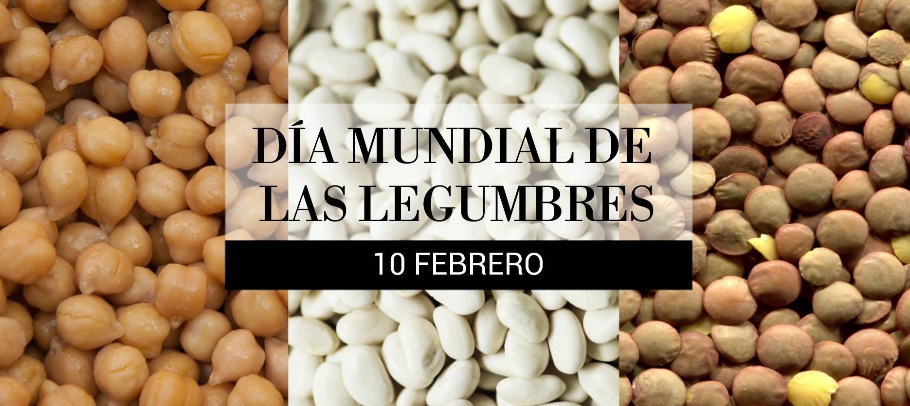 DÍA MUNDIAL DE LAS LEGUMBRES - No Solo recetas